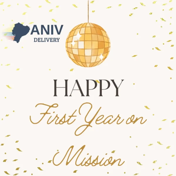 First Year Package – ANIV Delivery